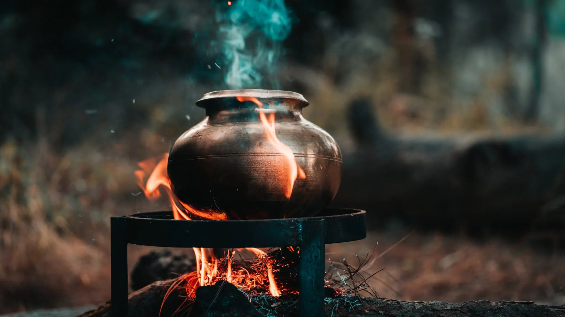 Unleashing Nature's Bounty in Every Bite - Taste That Touches Your Soul ...